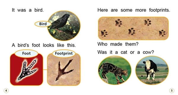 Whose Footprints？这是谁的脚印？-老约翰绘本馆