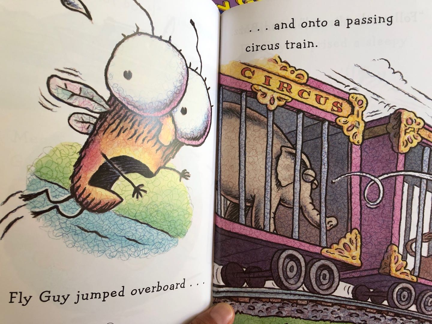 苍蝇小子英文版：Ride, fly guy, ride!-老约翰绘本馆